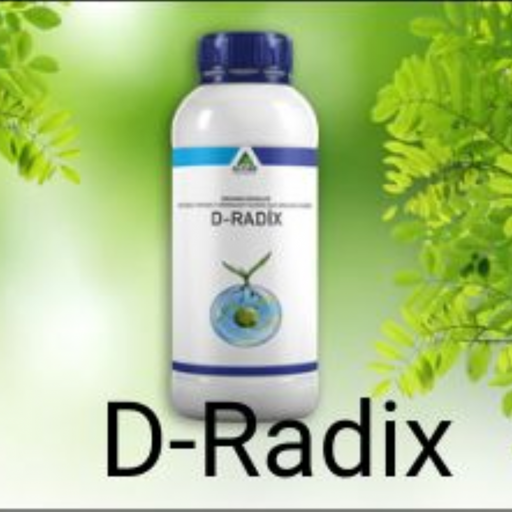 D-Radix - peyzaj.com