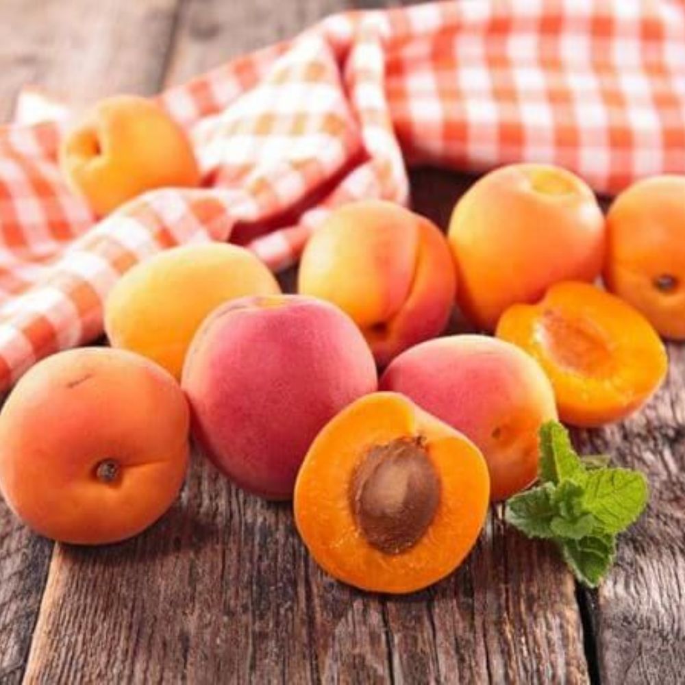 Zerdali 50 Tohum - peyzaj.com